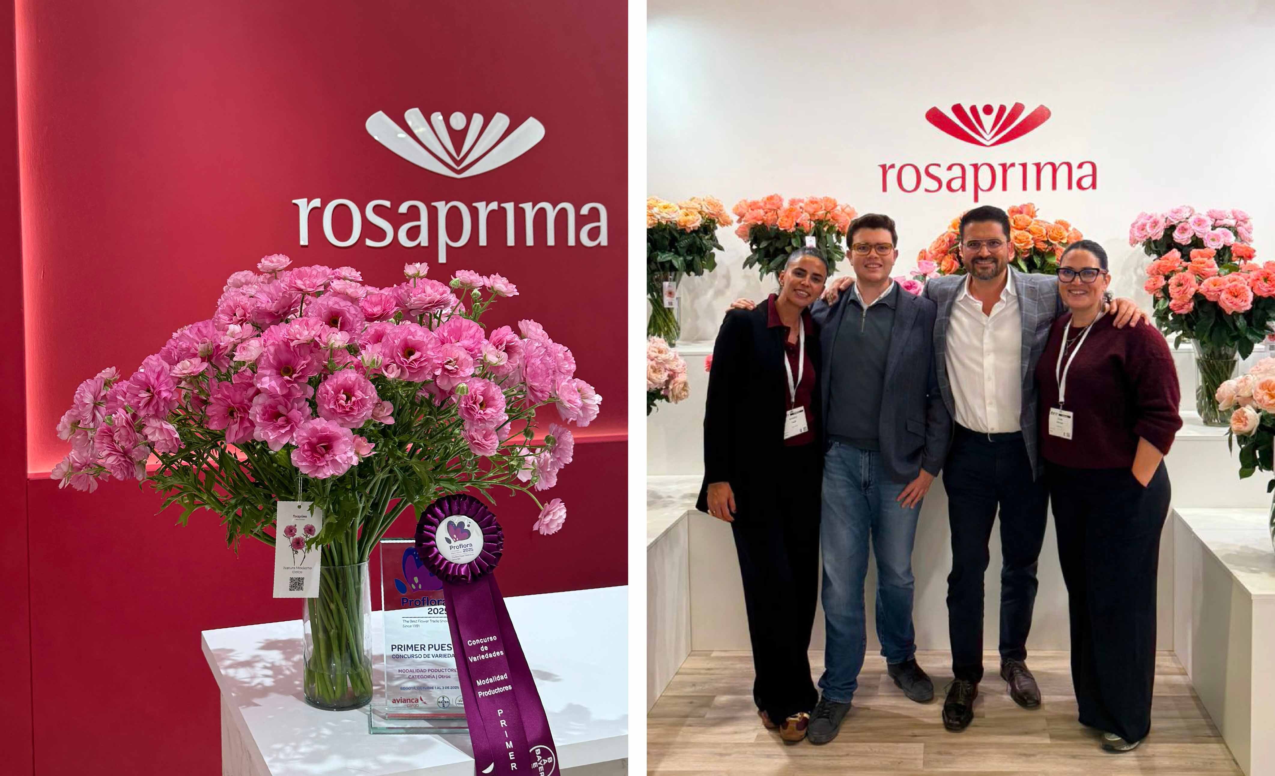 Rosaprima | 2025 in Review: The Flowers, the Craft, and the Vision