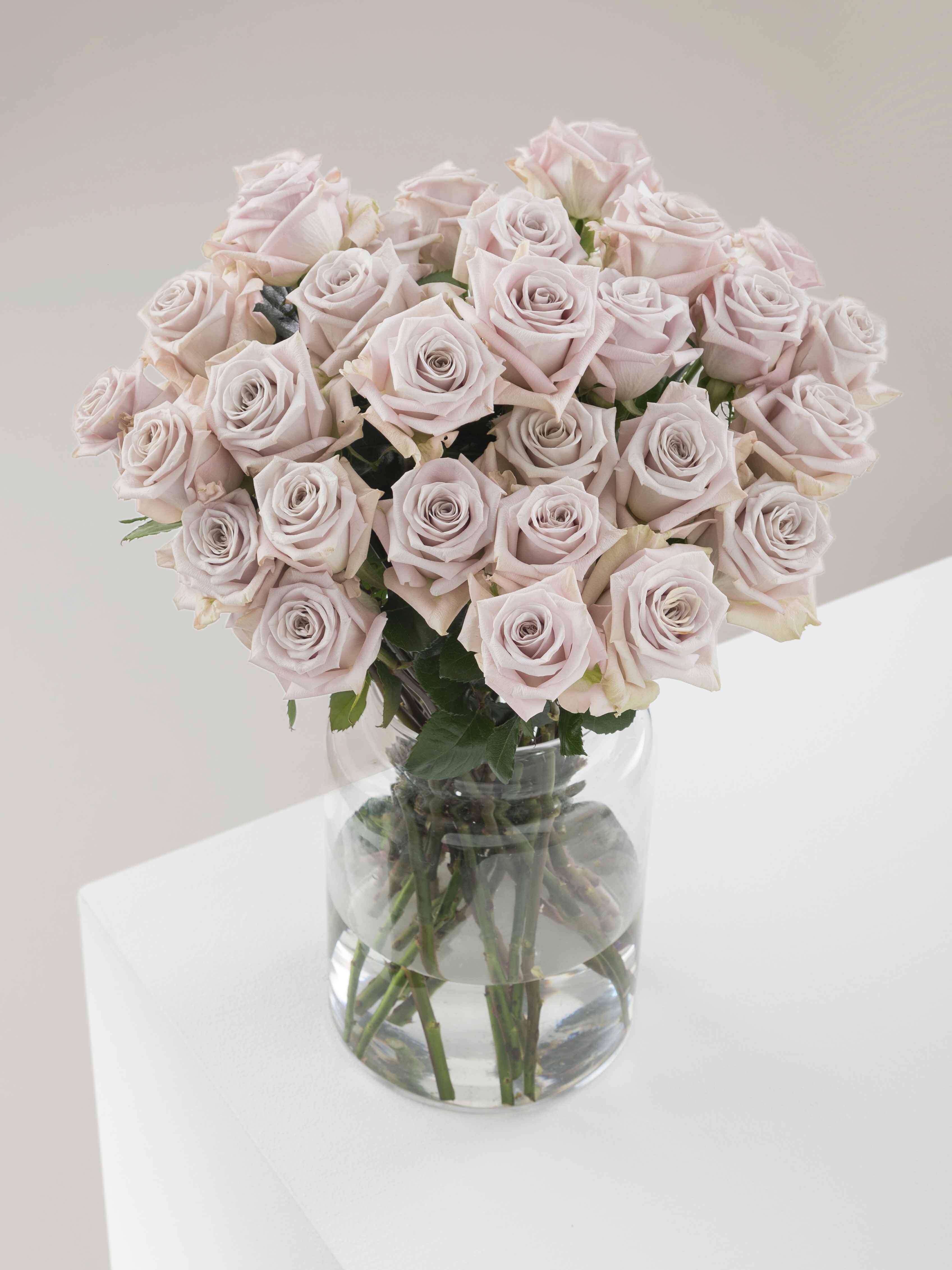 Rosa Menta