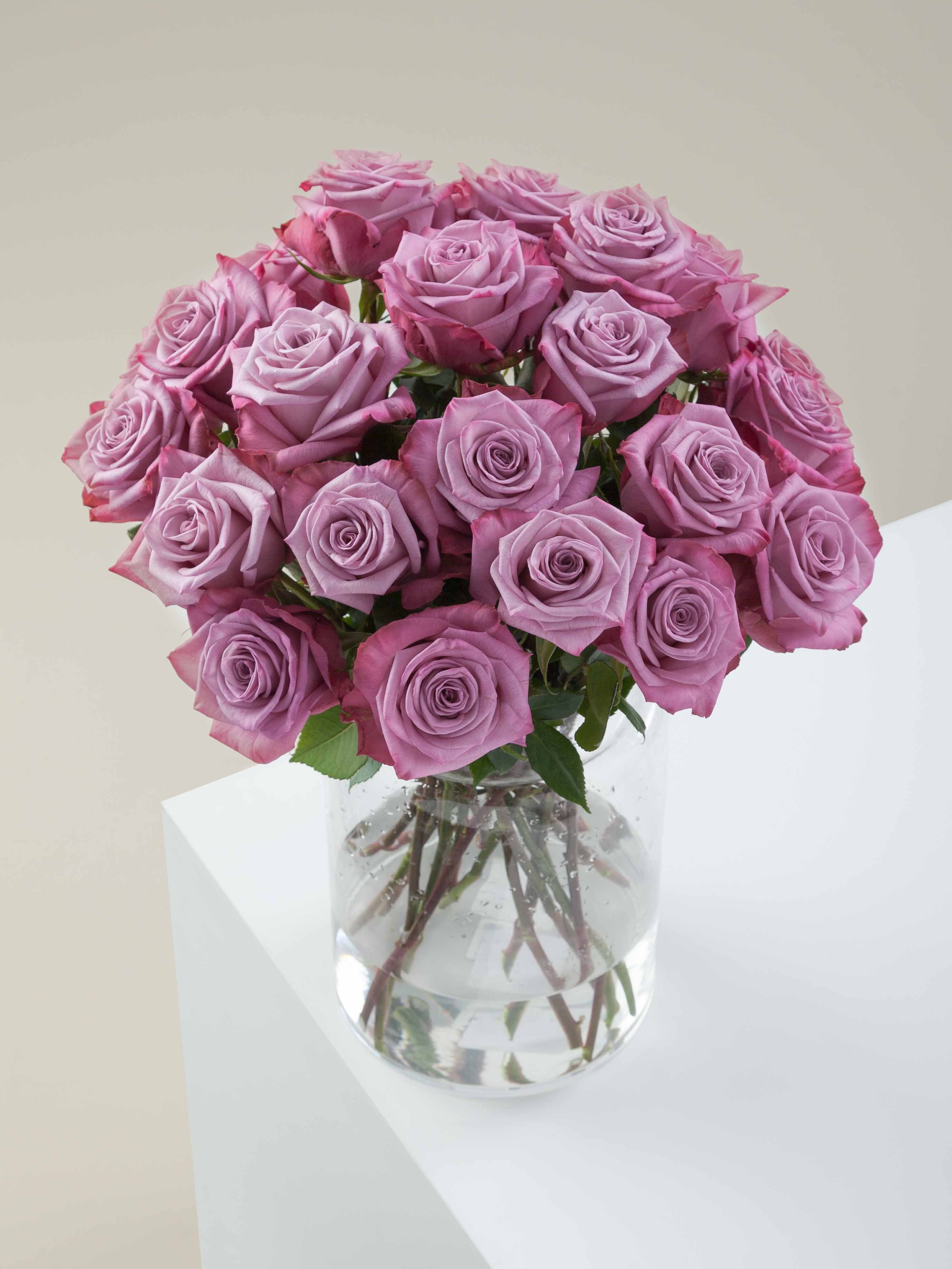 Moody Blues Rose Color