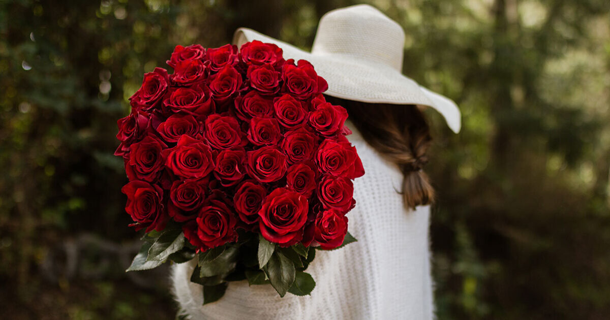 Rosaprima | Iconic Roses for Life’s Extraordinary Love Stories